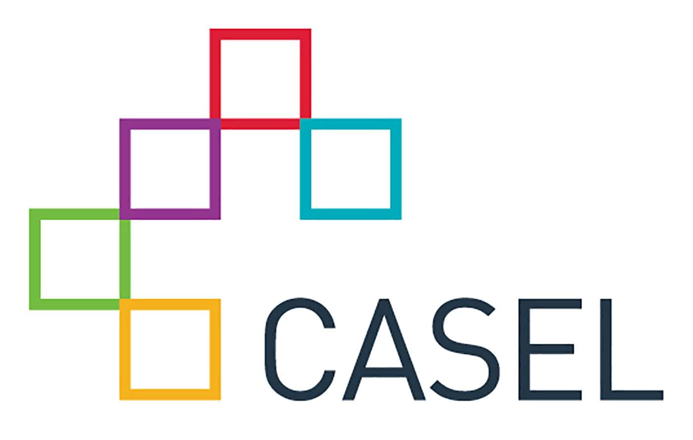 Casel Otherwise Incorporated Chicago Arts Culture And Community